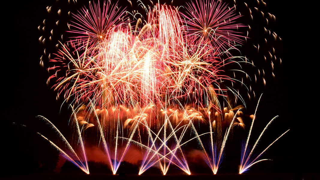 Guy Fawkes & National Celebrations | Dynamic Professional